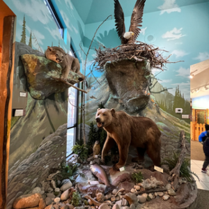 MK Nature Center With Kids - Boise with Kids