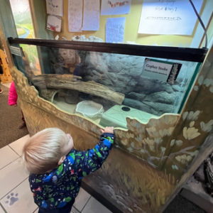 MK Nature Center With Kids - Boise with Kids