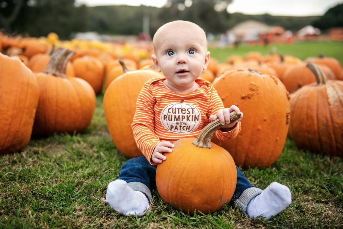 Pumpkin Palooza in Meridian - Boise With Kids